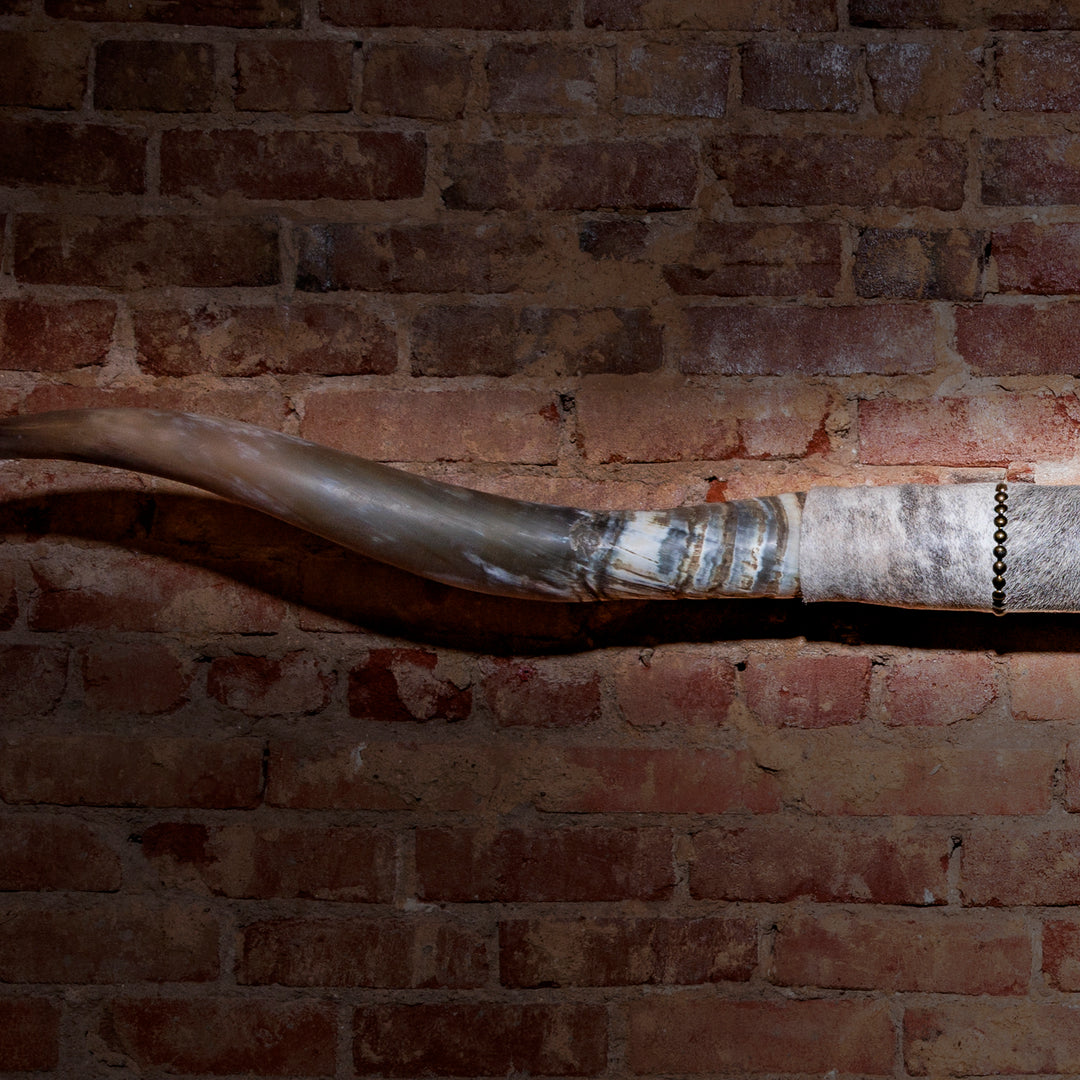 Mounted Western Horns | Authentic Wall-Mounted Horn Decor – Into The West